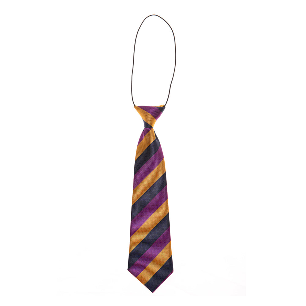 Lucan CNS / Killarney CNS Elasticated Tie – The Schoolwear House